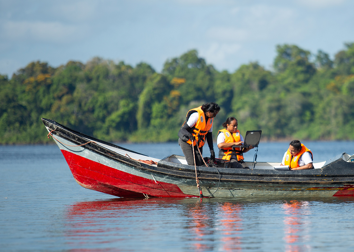 Climate transparency is key to unlocking finance and development | UNDP Climate Promise